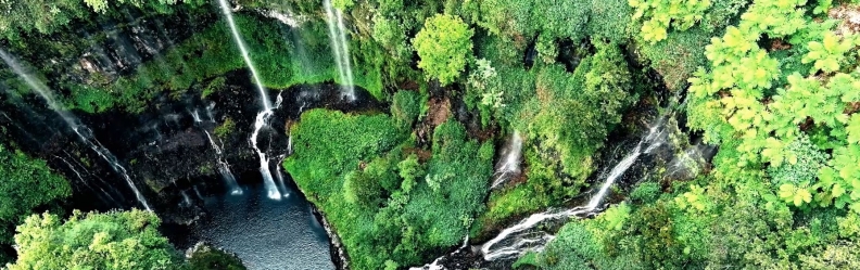 La Réunion lance une grande campagne de communication sur les EEE ...